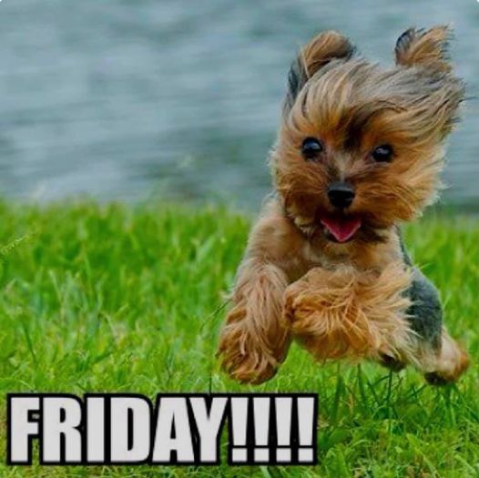It's Friday! Happy TGIF. Enjoy your weekend!