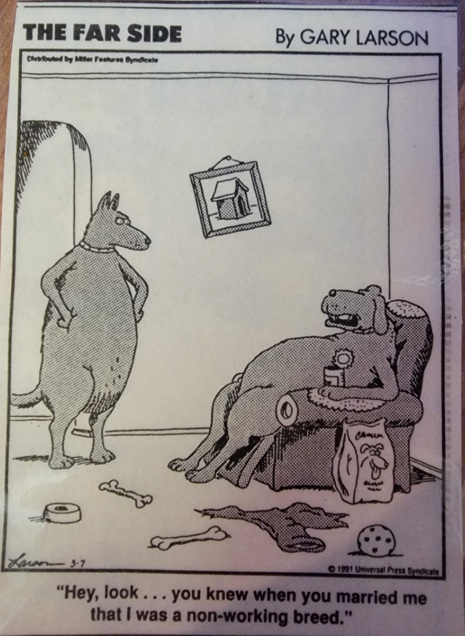 Far Side Dog Cartoons