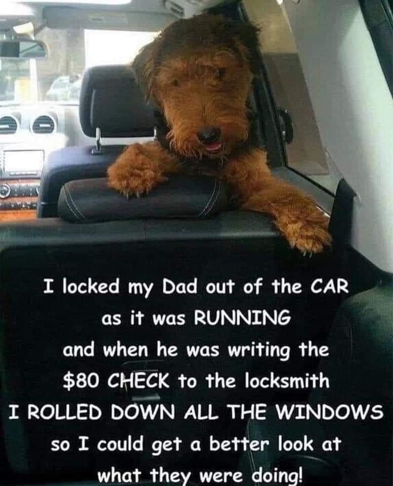 Locked Out Of Car Meme