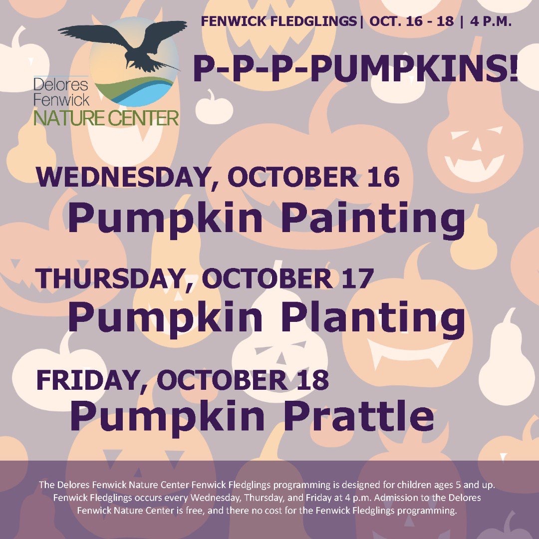 Pumpkin activities this week