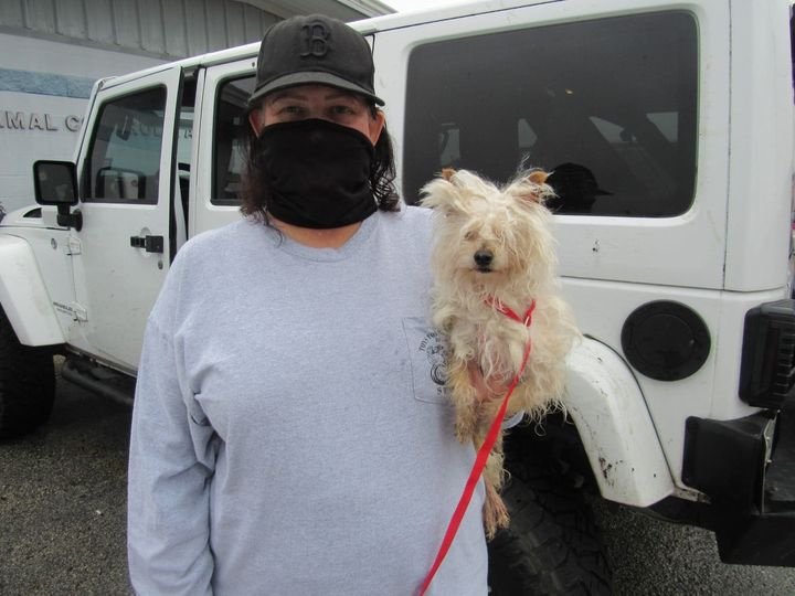 Yorkie Rescue of Houston saved the day for sweet Connor