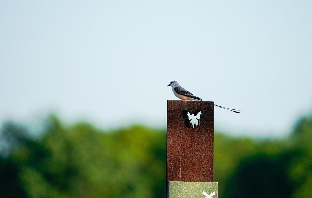 5 of the Best Ways to Enjoy Nature in Pearland
